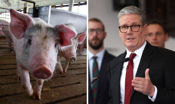 Starmer's Brexit reset could force UK to lift two major bans