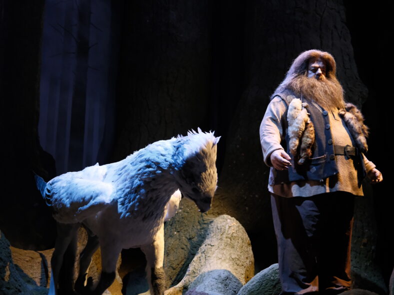 Hagrid's Best Quotes From Harry Potter Prove The Magic Isn't Just About ...