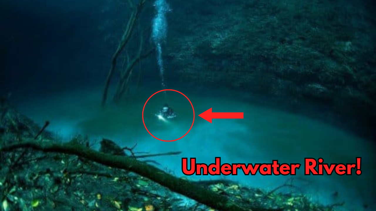 The Mysterious RIVERS That Flow INSIDE Oceans!