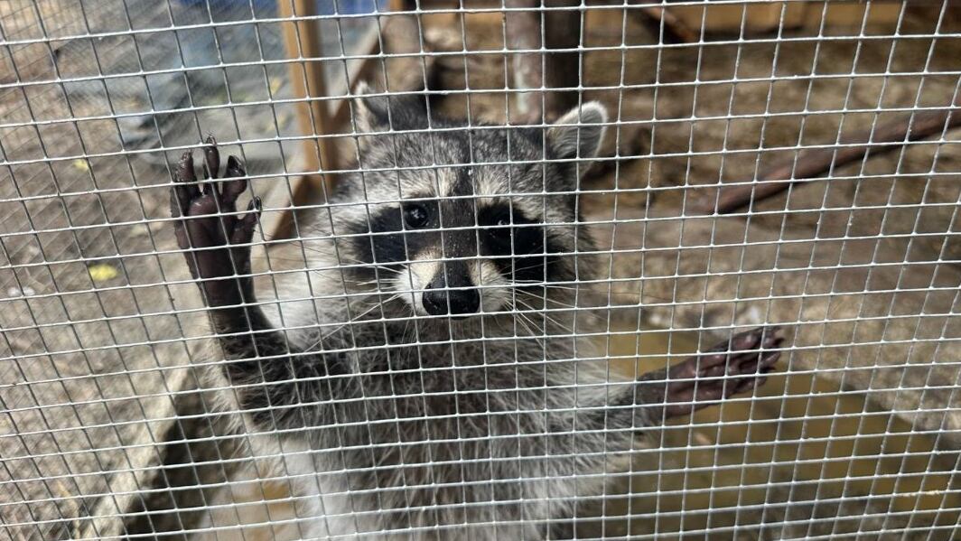 Conservationists to teach residents on how to best interact with metro ...