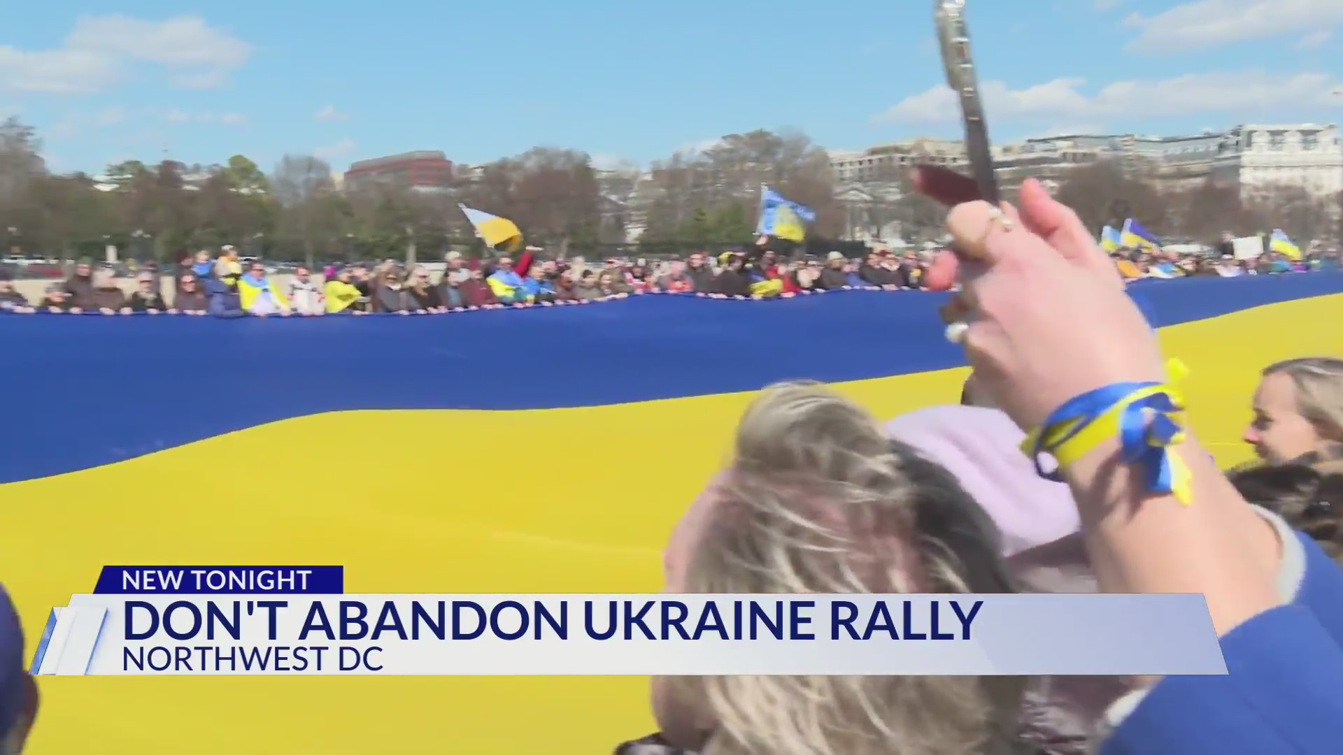 'Don't Abandon Ukraine' rally held in DC
