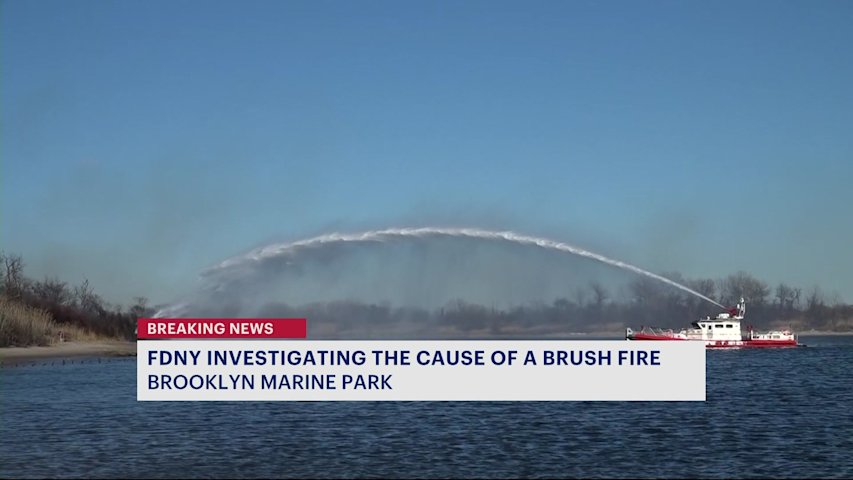 FDNY: Brush fire extinguished in Marine Park