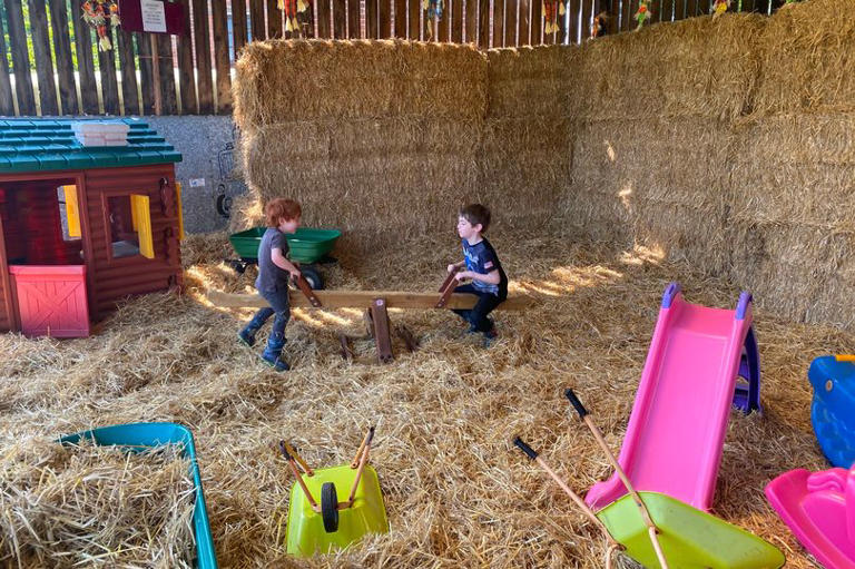 The best farm shops with play areas in and around Manchester for a ...
