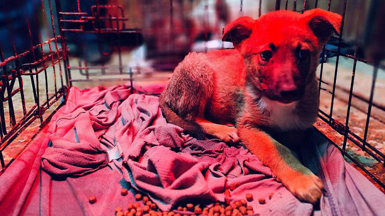 What do the yellow striped tiles on metro and railway stations mean?