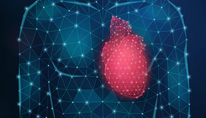 Breakthrough In Heart Regeneration: Scientists Discover New Way To Heal ...