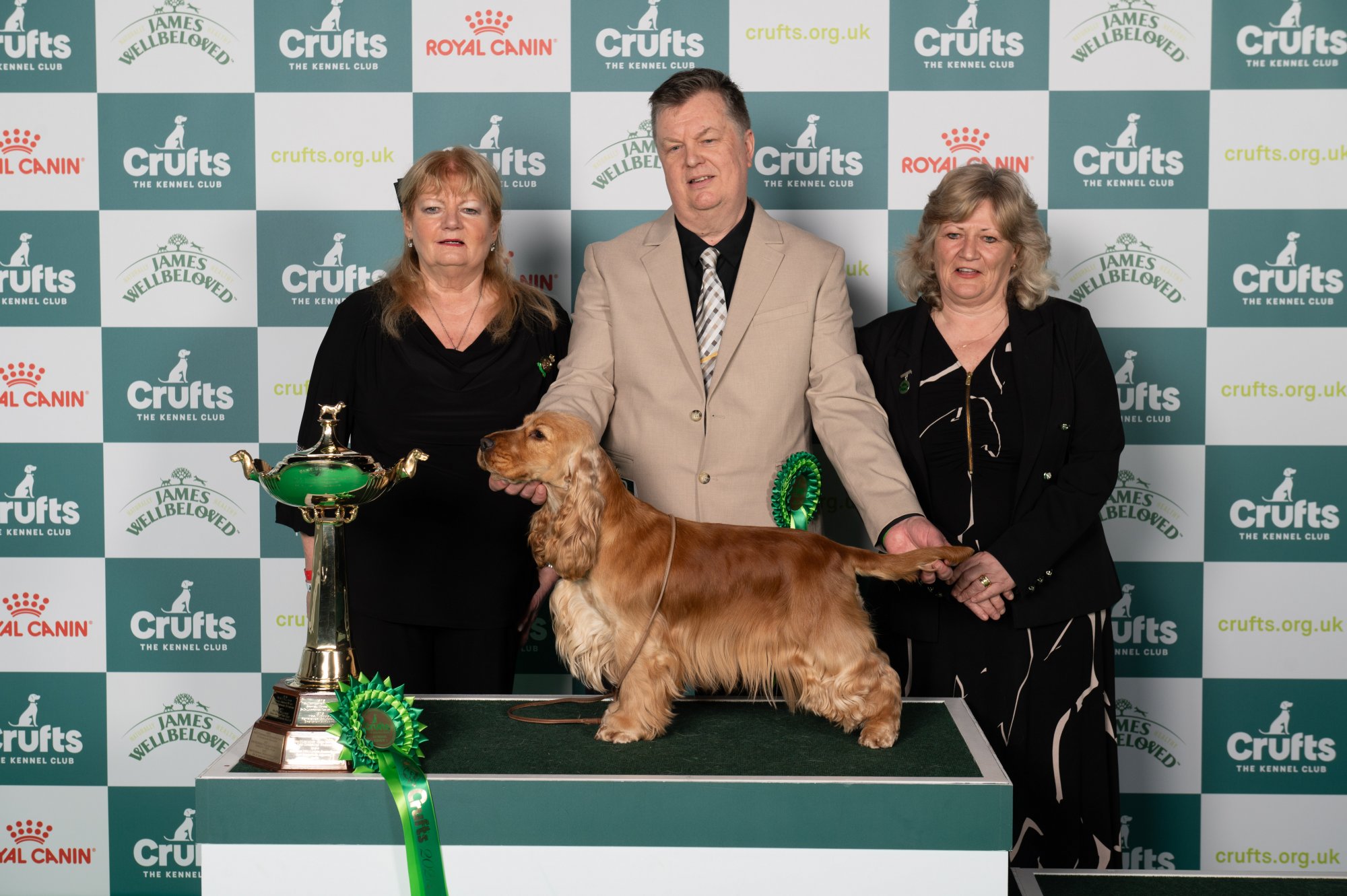 Crufts 2025: Gundog winner confirmed and best photos from day three at ...