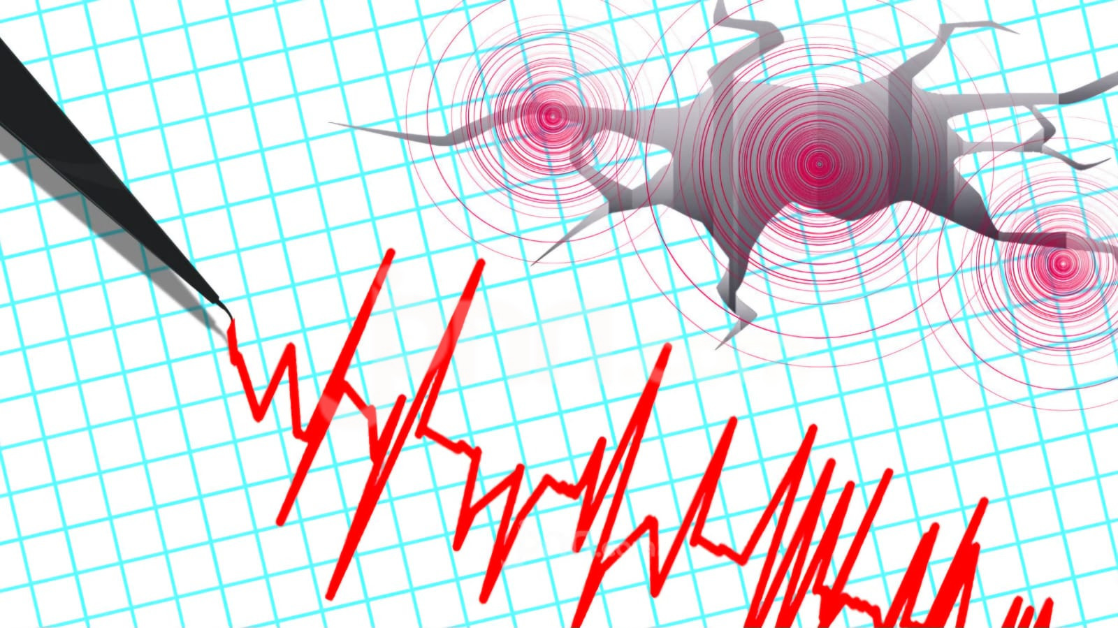 Seusai gempa M 7,7 di Laut Sulawesi, BMKG terbitkan peringatan dini tsunami