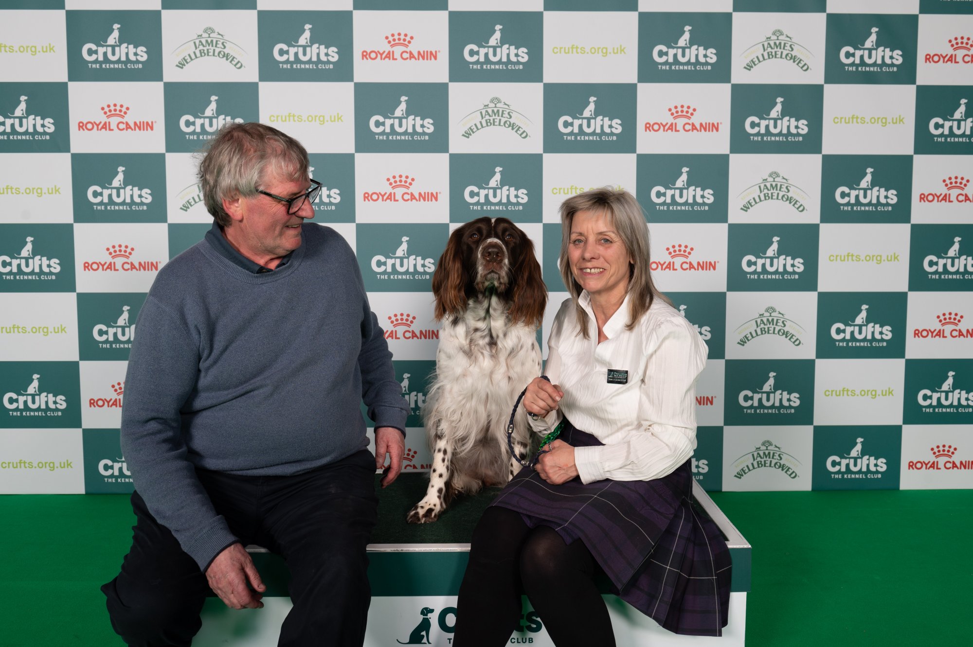 Crufts 2025: Gundog winner confirmed and best photos from day three at ...