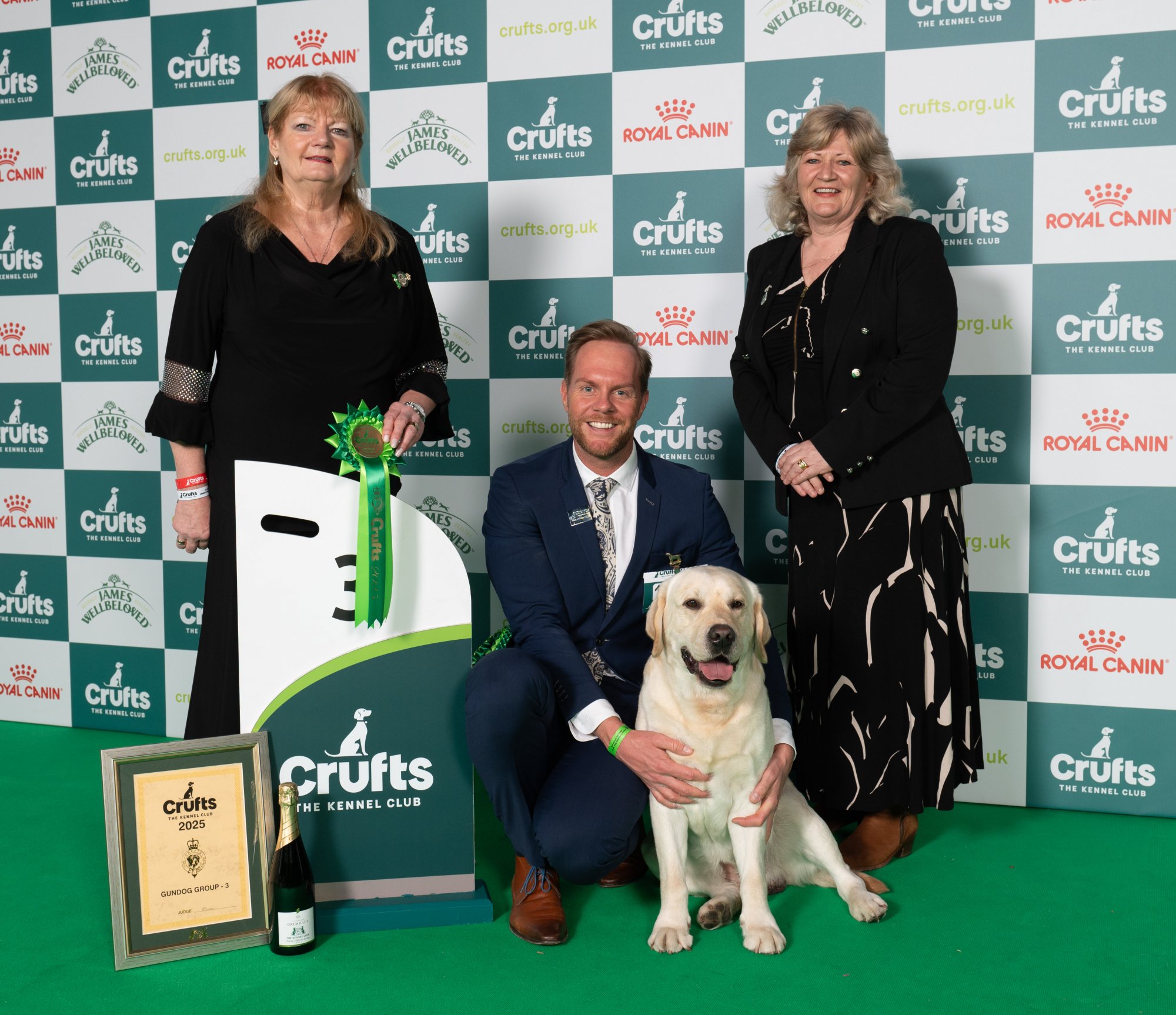 Crufts 2025: Gundog winner confirmed and best photos from day three at ...