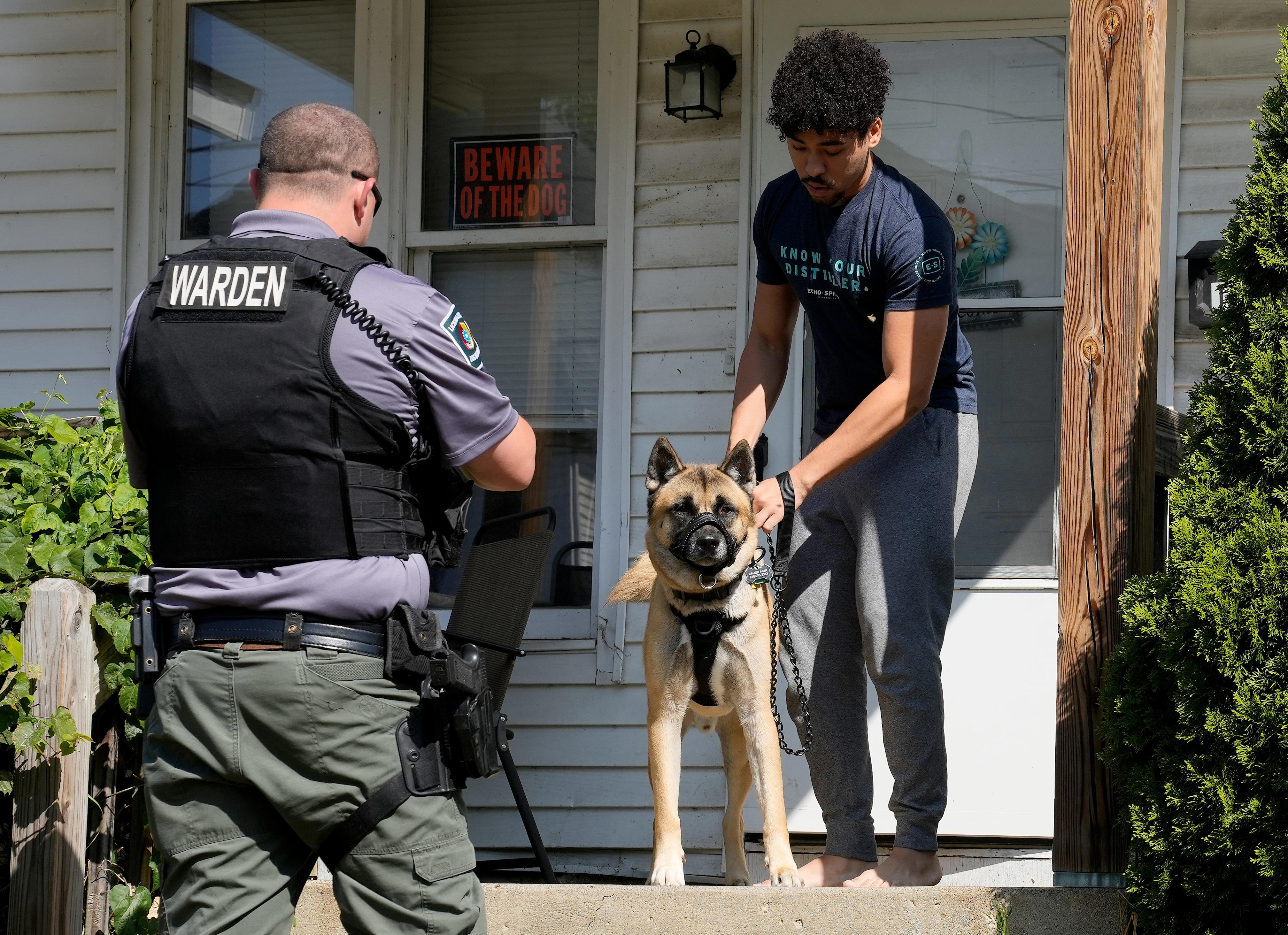'It looked like a murder scene.' Why Ohio dog wardens want harsher ...