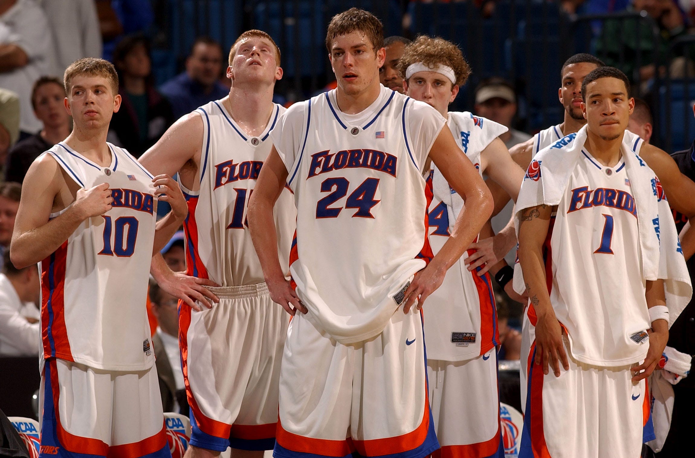 Florida Gators men's basketball NCAA Tournament history