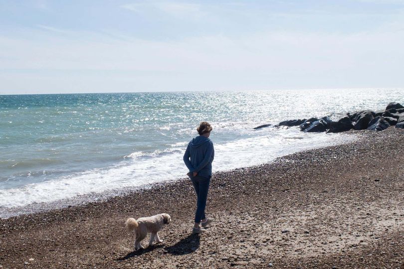 Urgent warning to dog walkers as 'highly dangerous' substance washes up ...