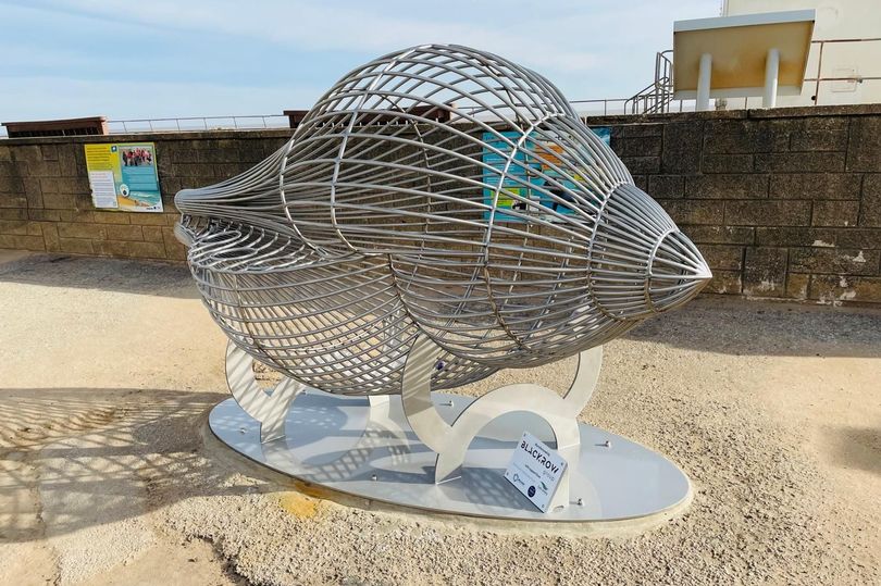 Giant shell-shaped bin arrives in seaside town - but only for one thing