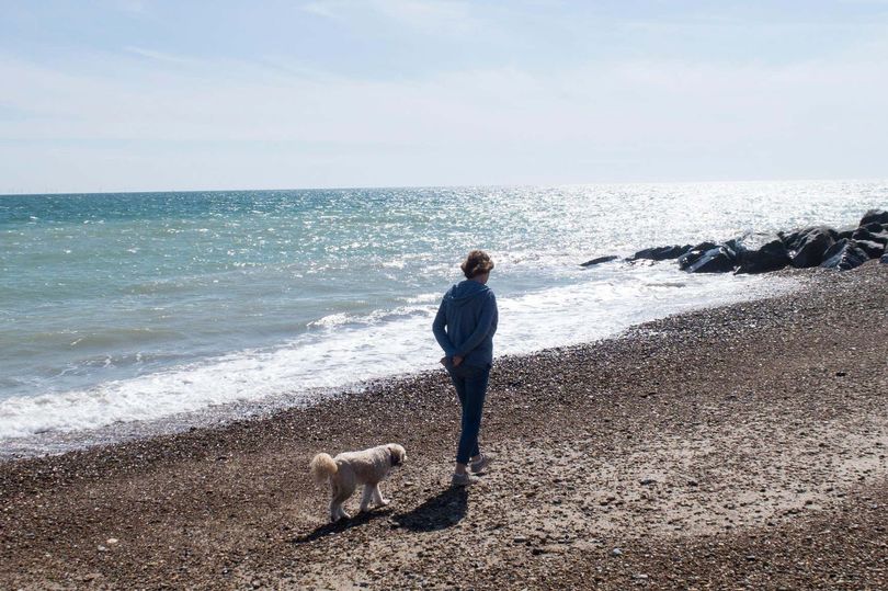 Urgent warning to dog walkers as 'highly dangerous' substance washes up ...
