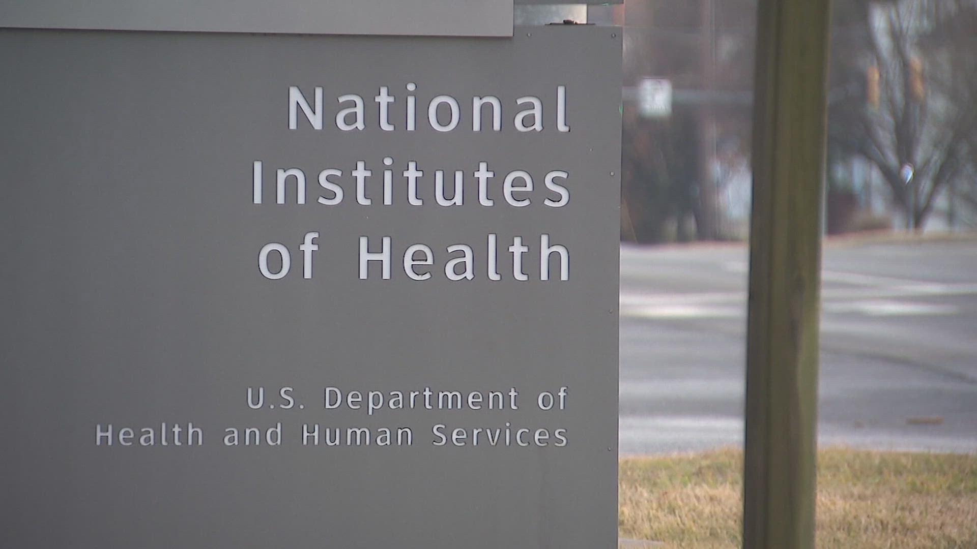 Protesters gather nationwide after layoffs at the National Institutes ...