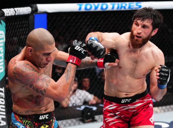 Vídeo: Assista os melhores momentos de Alex Poatan x Magomed Ankalaev ...