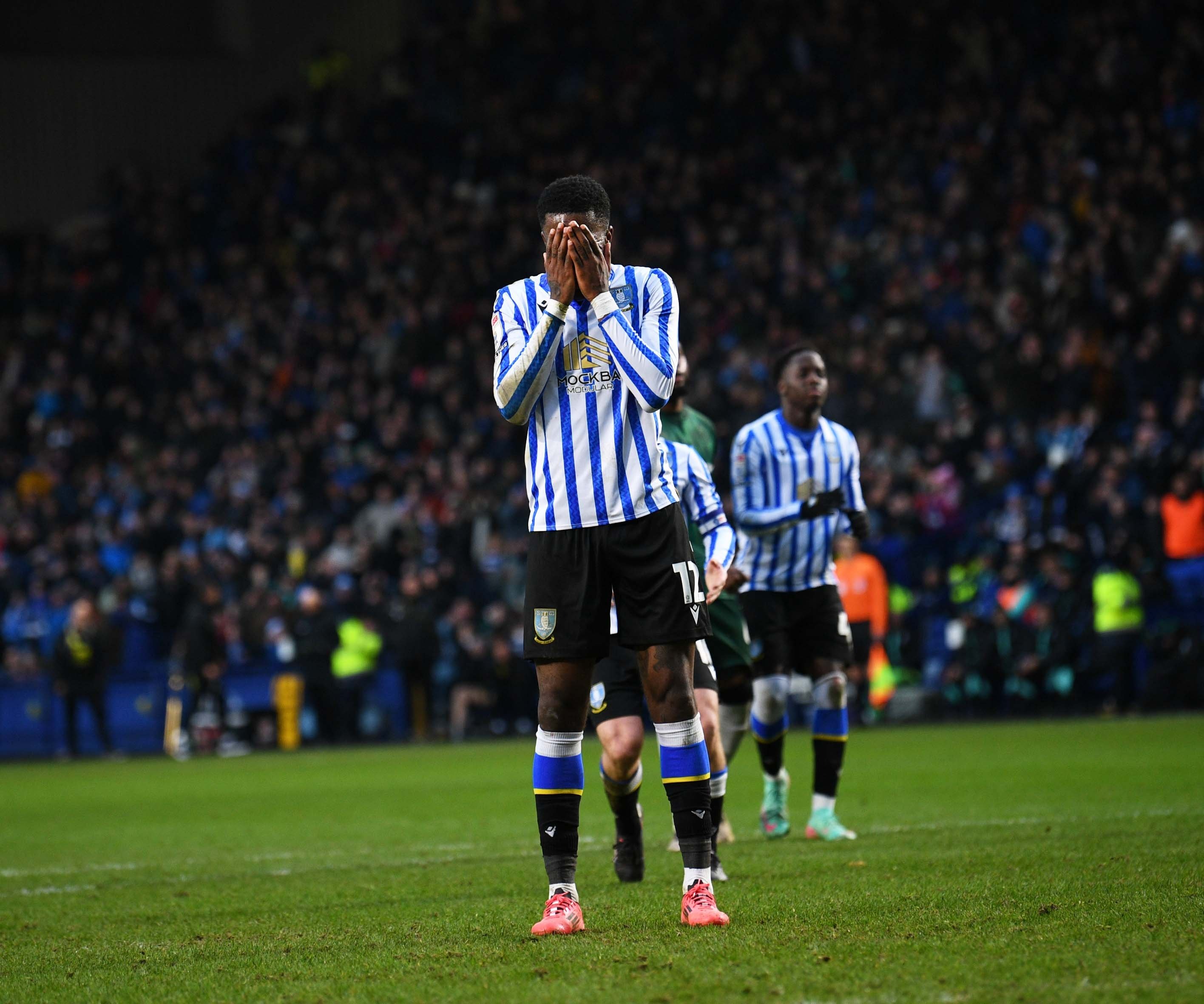 Why Ike Ugbo didn't feature in Sheffield Wednesday squad amid ...