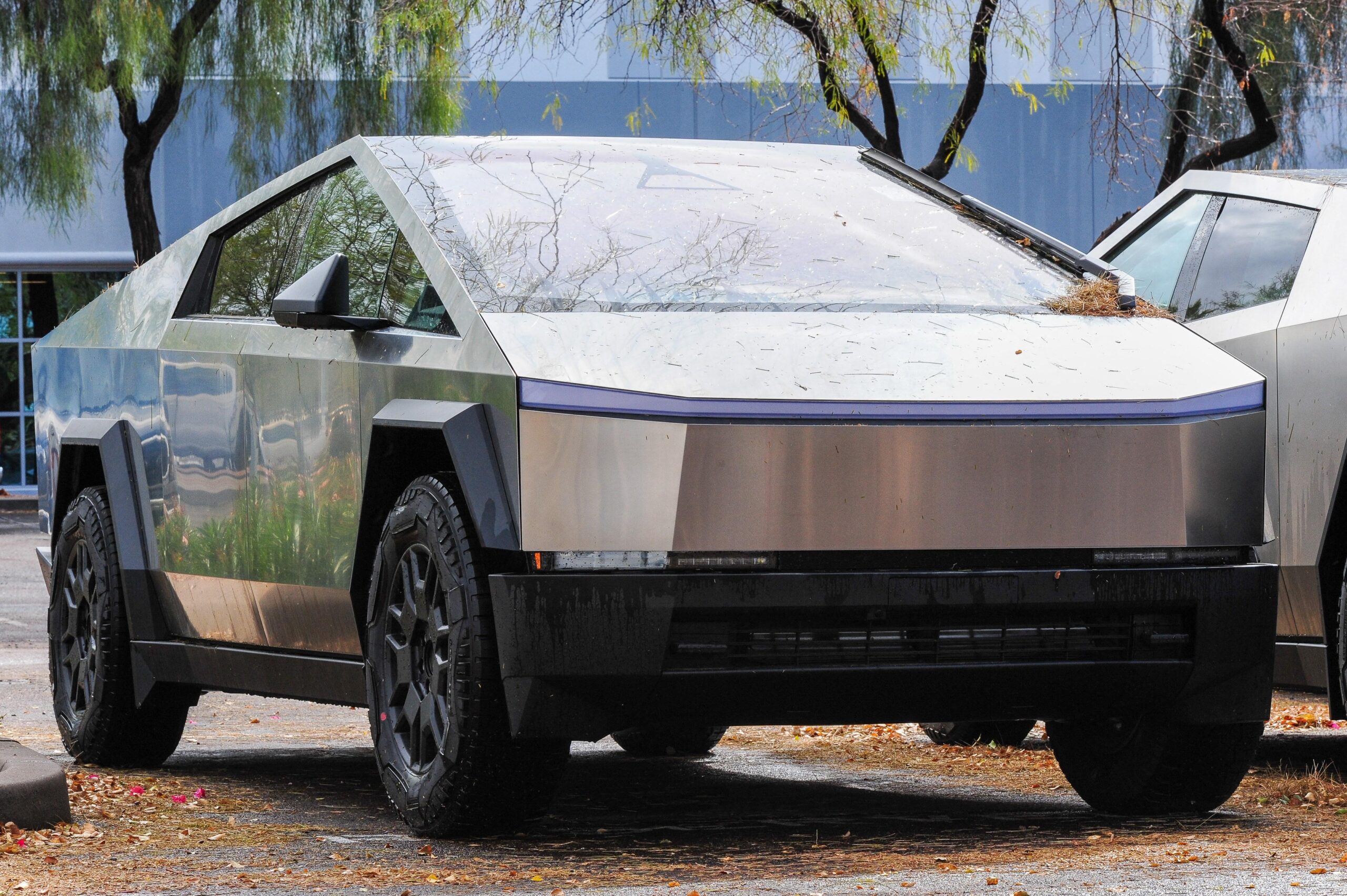 Tesla Drivers Share Fears Over Musk Backlash