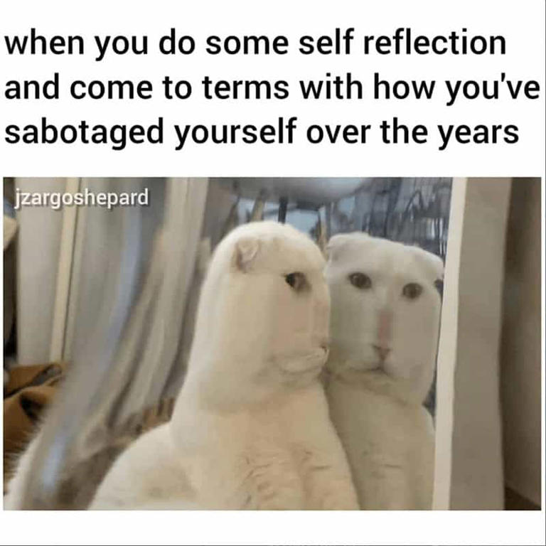 "Self Care Sunday" — 32 Wholesome Memes Promoting Positive Thinking ...