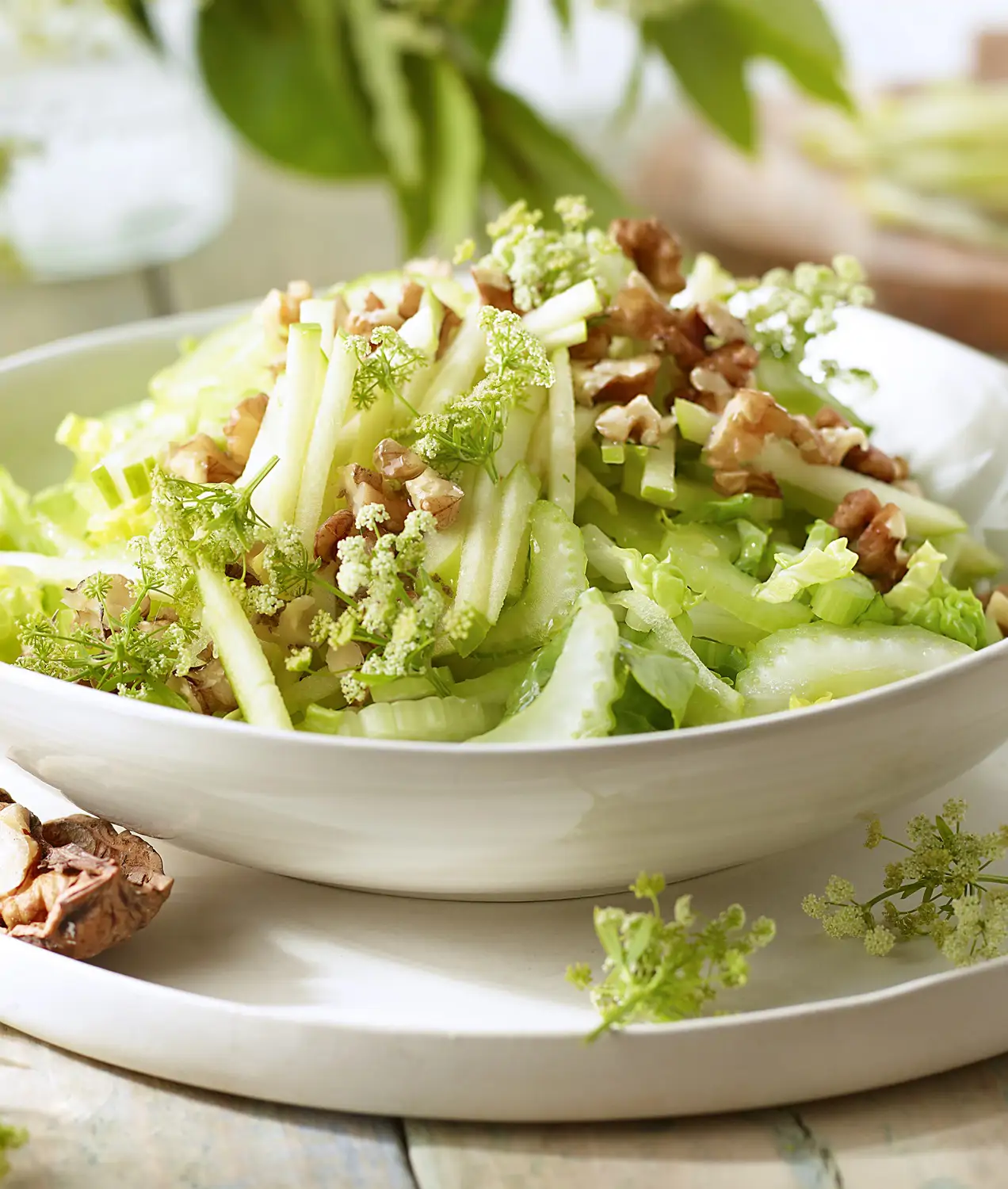 10 recetas con apio para adelgazar fáciles y muy apetecibles que te sorprenderán