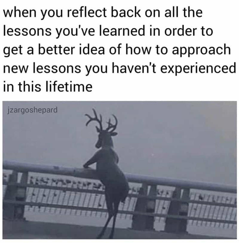 "Self Care Sunday" — 32 Wholesome Memes Promoting Positive Thinking ...