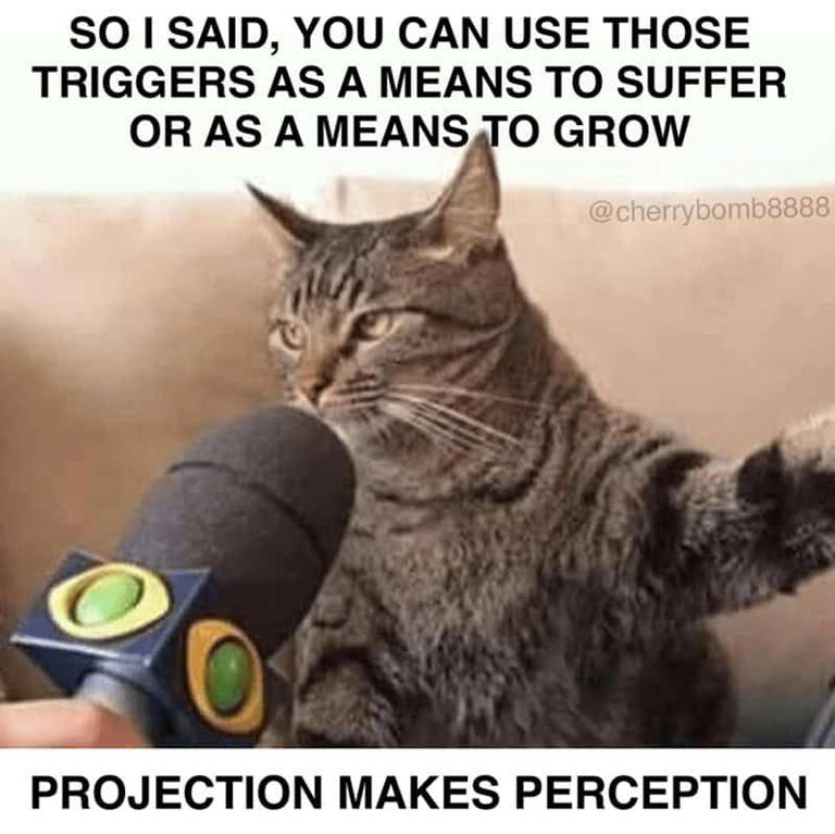 "Self Care Sunday" — 32 Wholesome Memes Promoting Positive Thinking ...