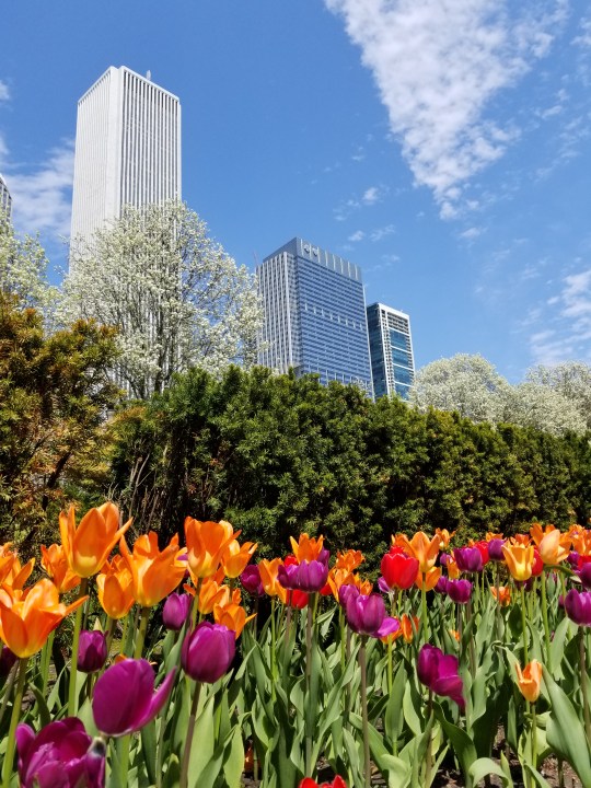 Sunday forecast: Sunny and pleasant, warm early spring week ahead for ...