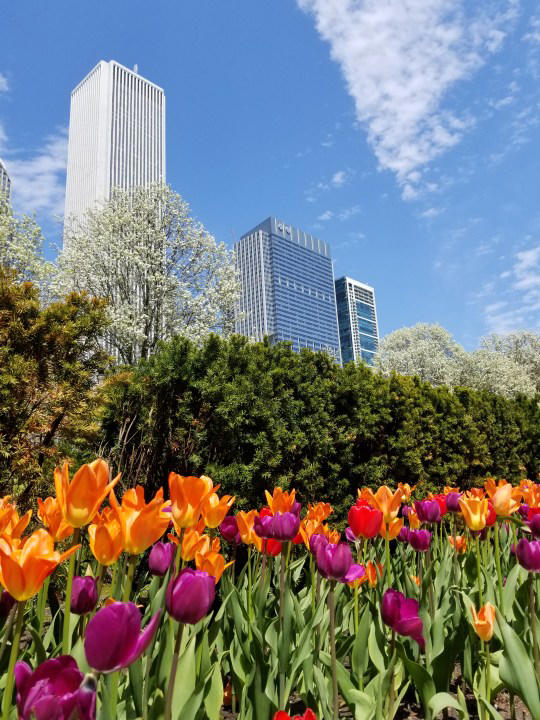 Sunday forecast: Sunny and pleasant, warm early spring week ahead for ...