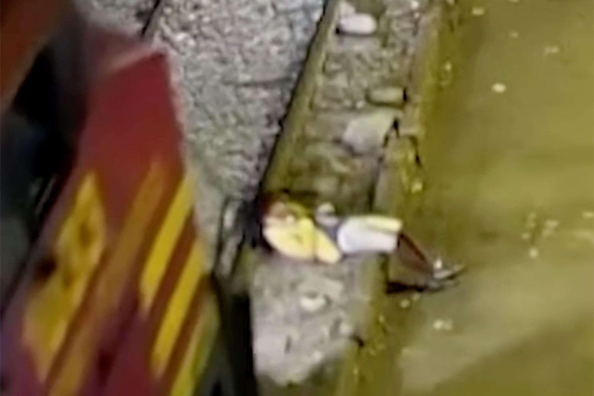 Man Survives Being Run Over by a Train While Sleeping Near Tracks ...