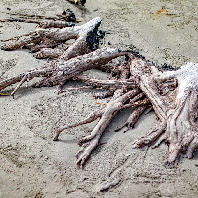 17 things you should never burn in your fireplace