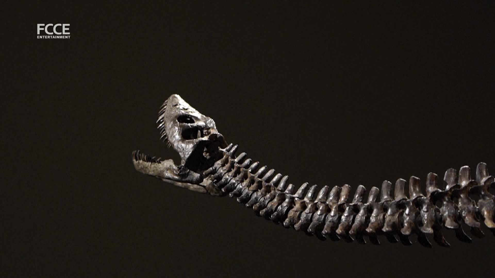 Rare dinosaur fossils auctioned at Sotheby’s for millions