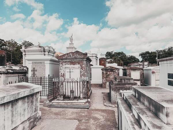 7 Weird Things To Do In New Orleans