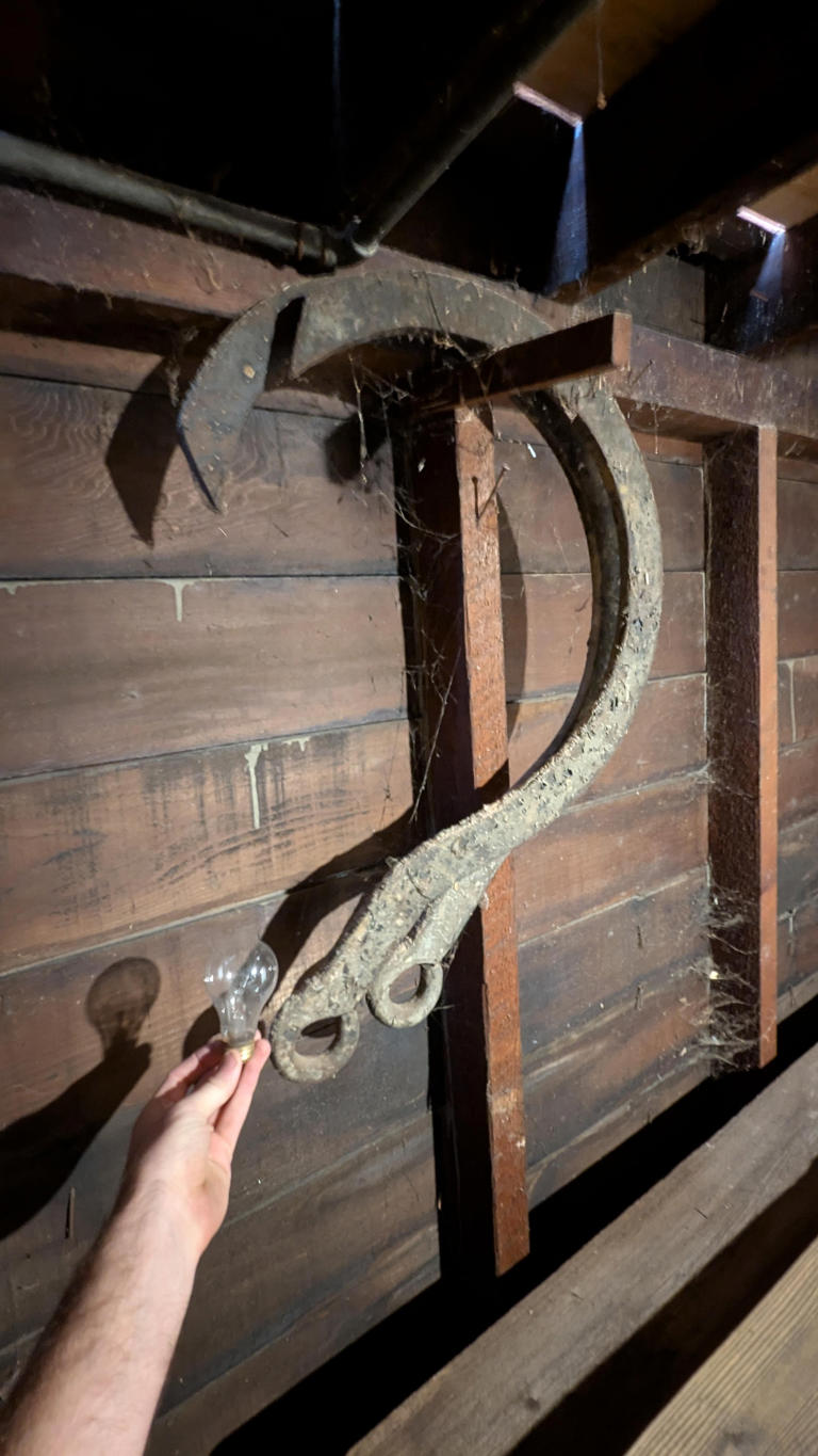 These 26 Weird Objects Would Never Have Been Identified If The Internet ...