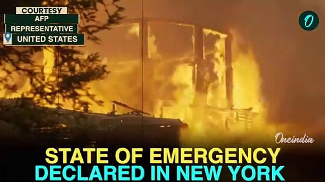 U.S New York Wildfire | Video Shows Thick Wildfire Smoke Engulfing Long ...