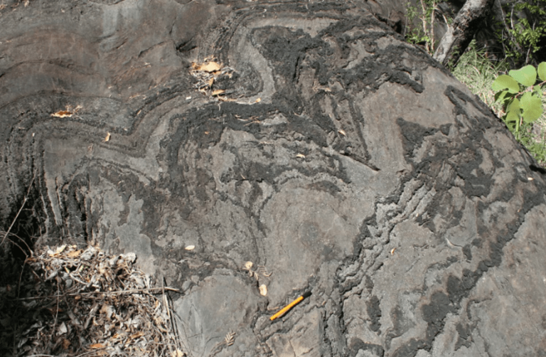 Ancient stromatolites reveal volcanic ammonium supported early life