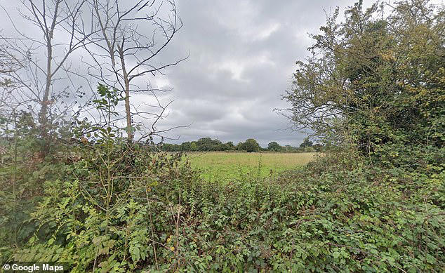 Travellers' green belt land grab: Councils forced to find more pitches