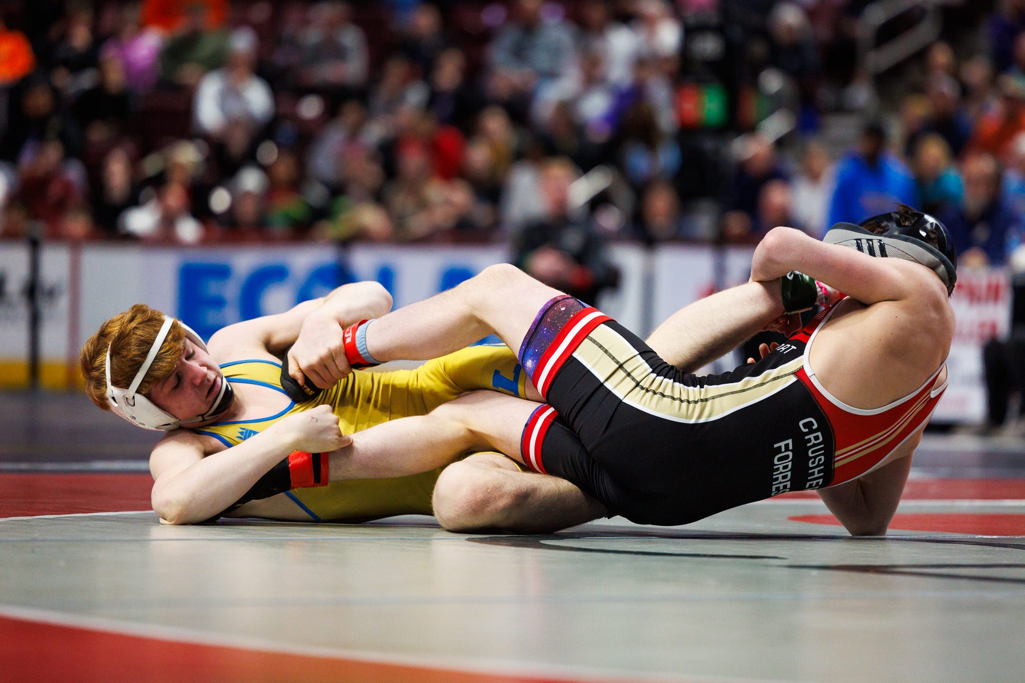 Will Jax Forrest vs Aaron Seidel rematch occur in NCAA wrestling?