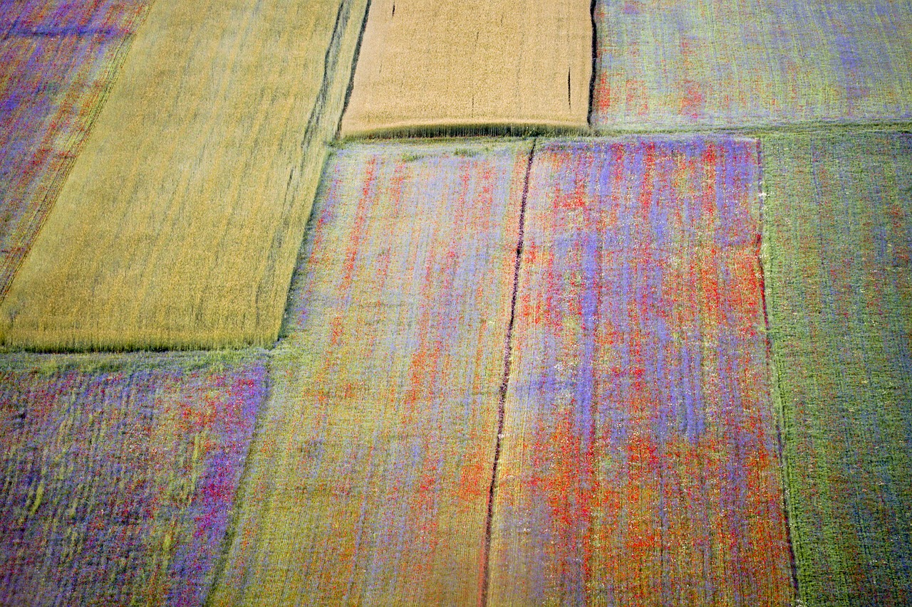 How Climate Change Is Reshaping the Way We Eat – Forever