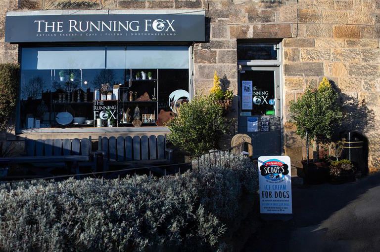 Northumberland cafe famous for 'fabulous' afternoon tea voted best in ...