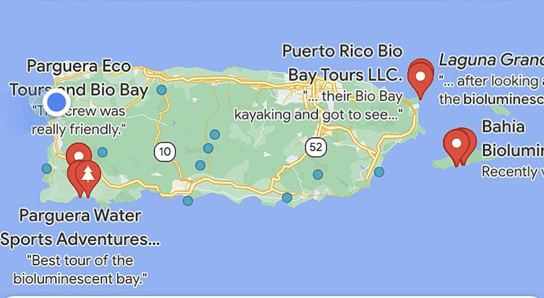 A Guide To Puerto Rico's Three Bioluminescent Bays