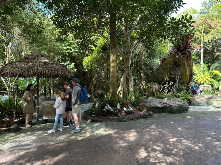 PHOTOS: More Repainted Bioluminescent Paths Reopen to Guests in Pandora ...