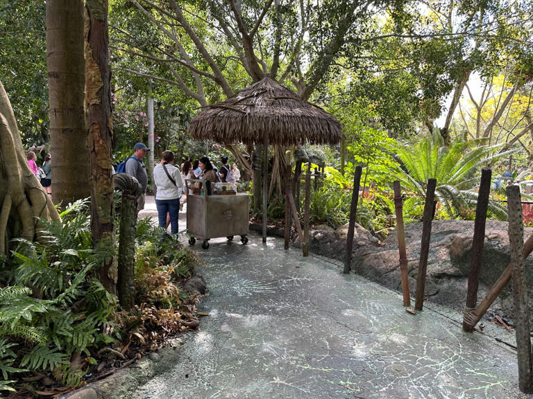 PHOTOS: More Repainted Bioluminescent Paths Reopen to Guests in Pandora ...