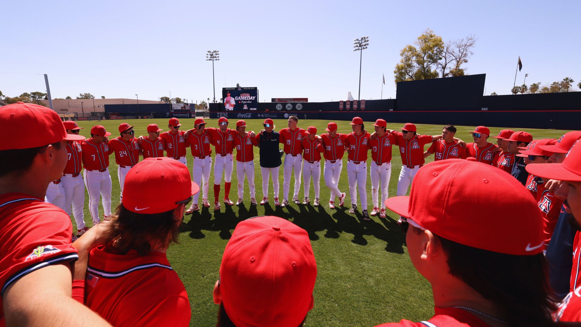 Arizona baseball rallies past Pepperdine for 11th win in 12 games