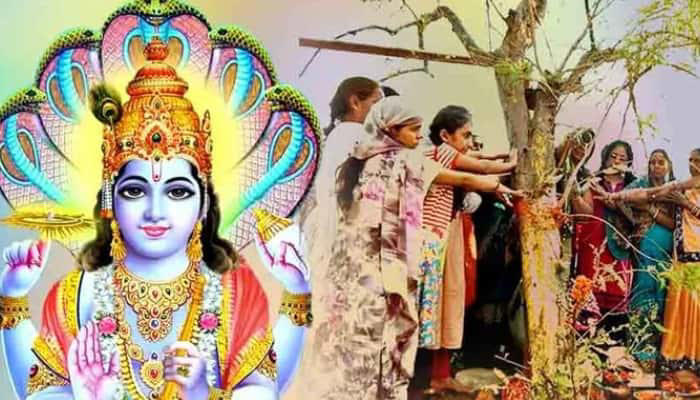 Amalaki Ekadashi 2025: Know significance, spiritual benefits, fasting ... Amalaki Ekadashi 2025: Know significance, spiritual benefits, fasting ...
