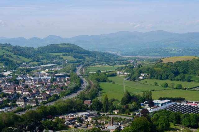 Scientists make unexpected discovery while tracking elusive snakes in ...