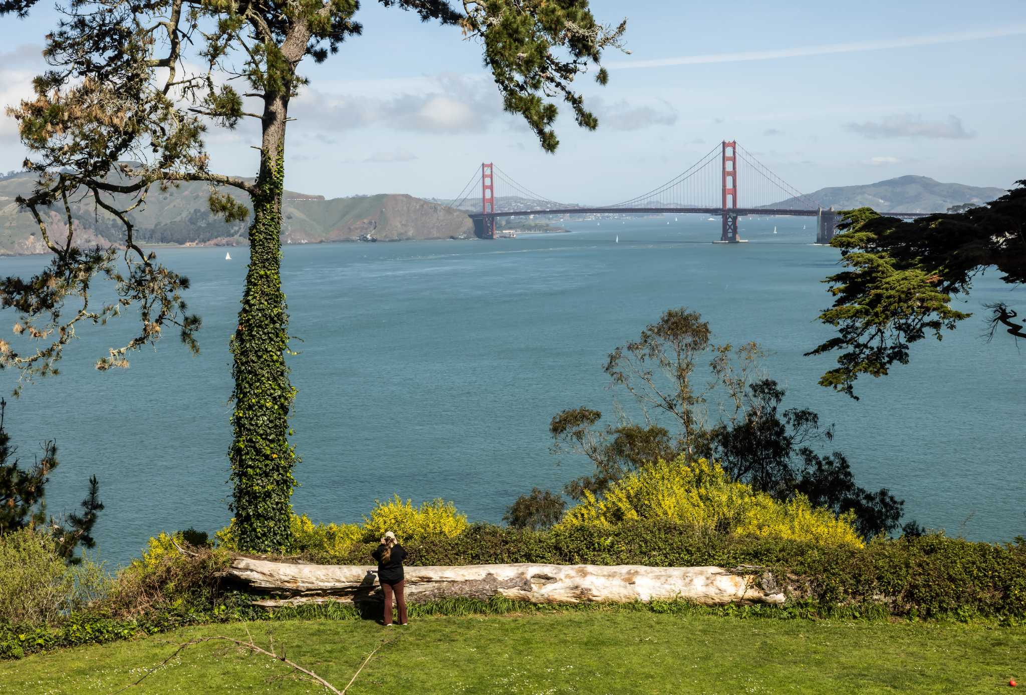 The S.F. region still leads the nation in population loss this decade