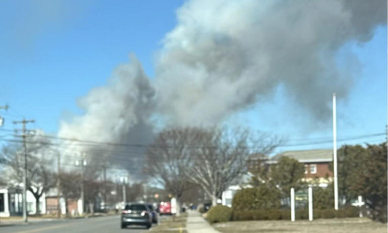 Hamptons Brush Fires Spark Fears of Historic 1995 Wildfires Repeating