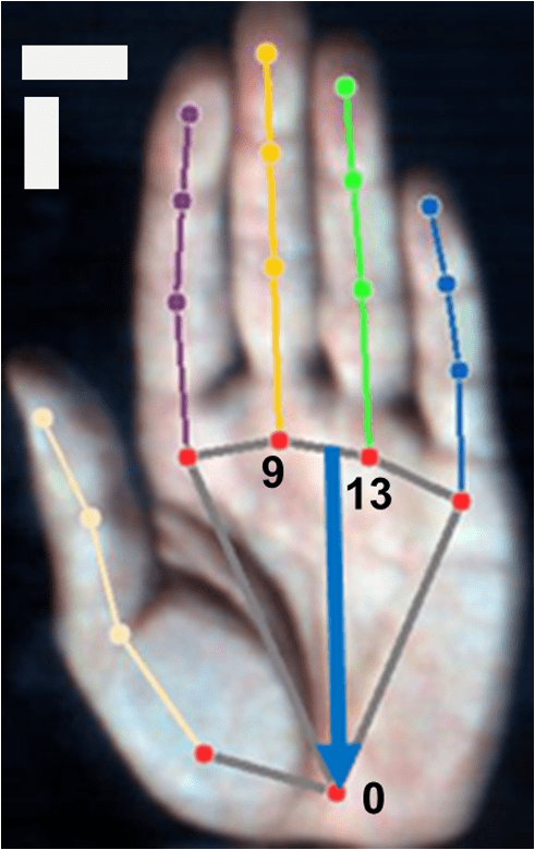 Scientists revolutionize biometric security using AI and infrared sensors