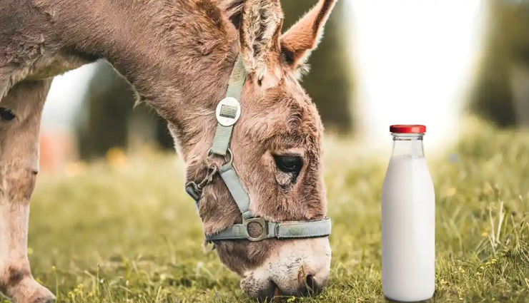 9 Least Known Beauty Benefits of Donkey Milk