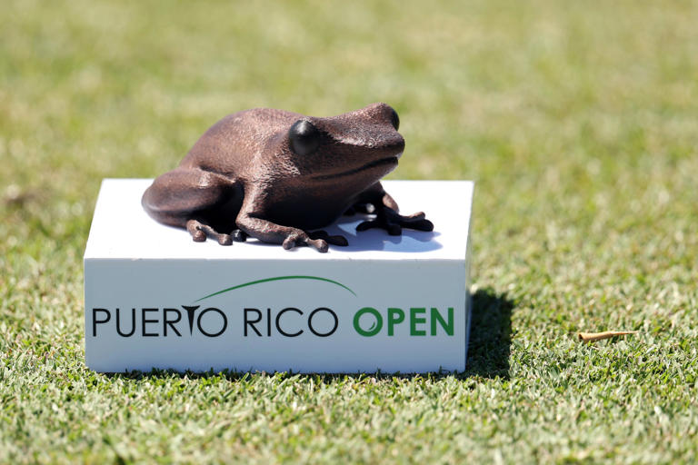2025 Puerto Rico Open prize money payouts for each PGA Tour player at ...